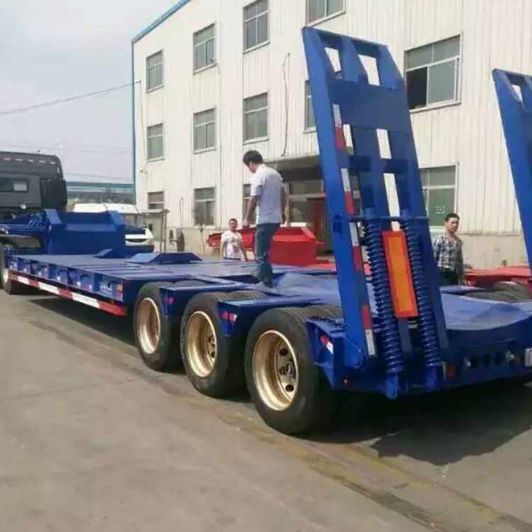 Single Axle Electric Single Axle Low Bed Semi Trailer from China ...
